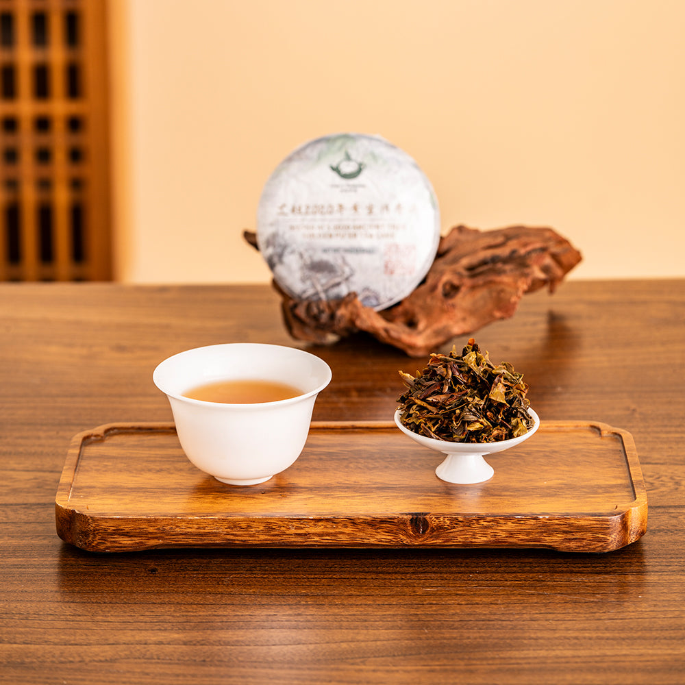 Golden Cake Sheng Pu’er Tea 2020 – Jesse's Teahouse